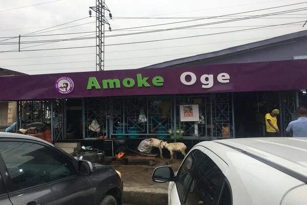 Nigeria - Amoke Oge Records ₦2.3 Billion in Chowdeck Deliveries ...