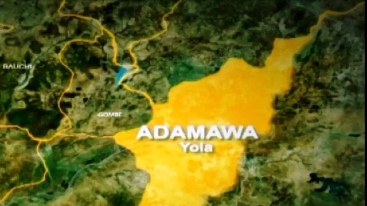 Nigeria - Cholera Outbreak Kills 10 in Adamawa's Mubi Local Government ...