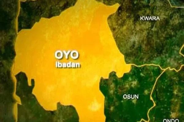 Nigeria - Dog Attacks Girl and Owner in Ibadan: Severe Injuries ...