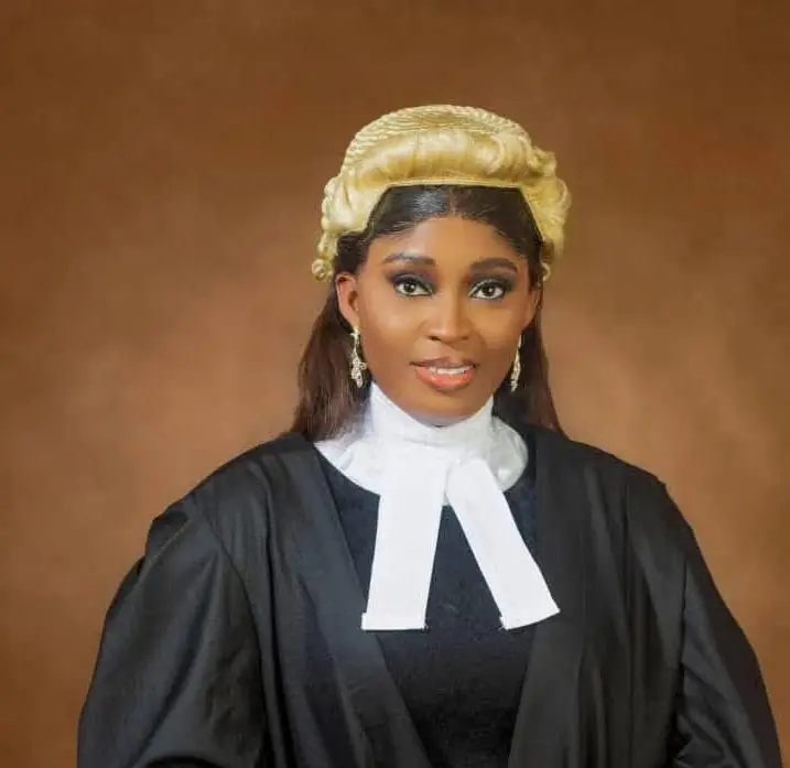 Nigeria - NBA Demands Action as New Lawyer, Sister Abducted After Call ...