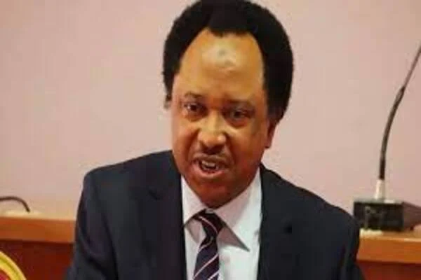 Nigeria - Shehu Sani Reveals Budget Padding Secrets in Nigeria's ...