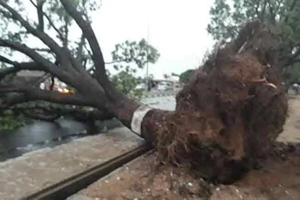 Nigeria - Tragic Windstorm Claims Five Lives in Bauchi State, Injures ... Nigeria - Tragic Windstorm Claims Five Lives in Bauchi State, Injures ...